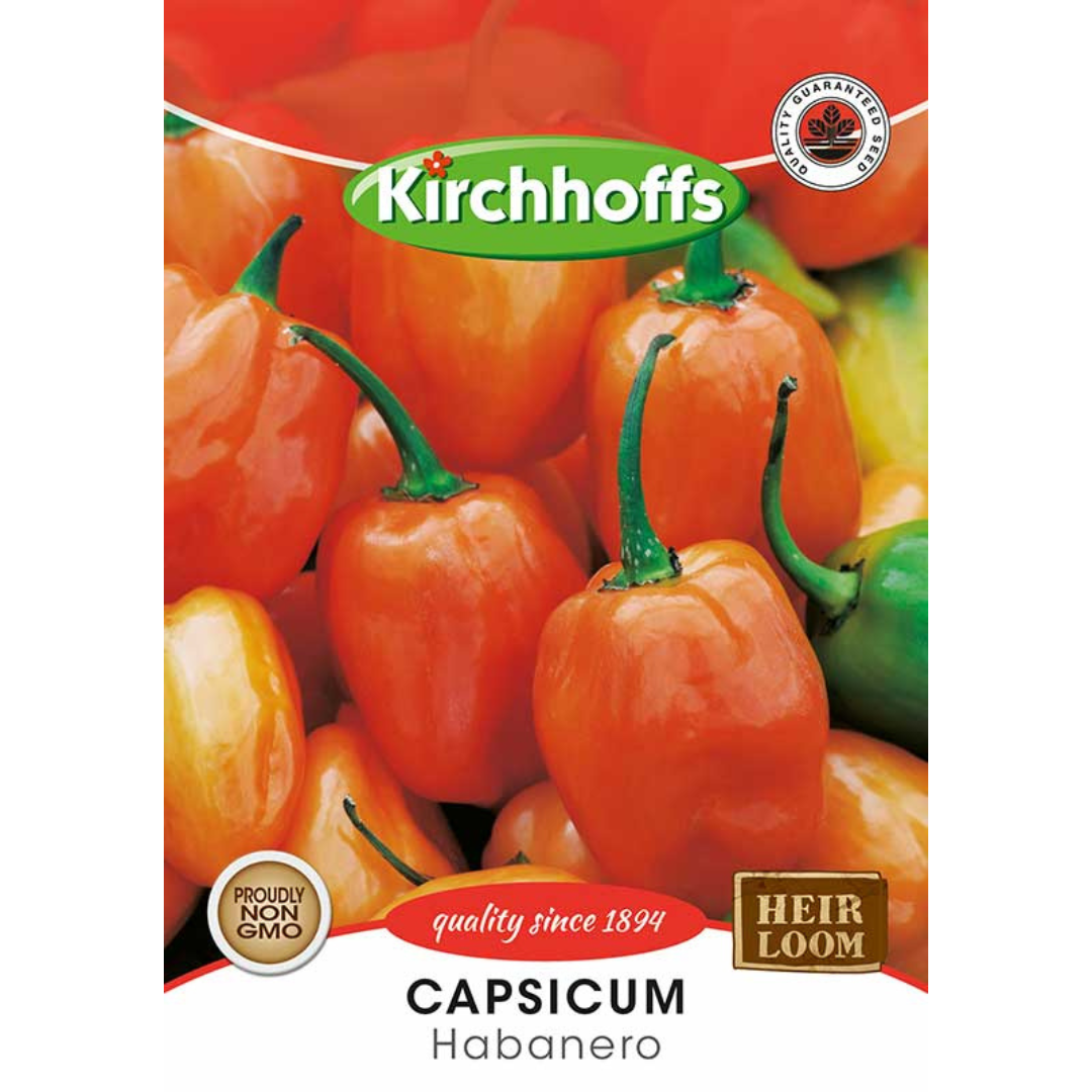 Capsicum (Habanero) - Kirchhoff Seeds – Honey Bee Online
