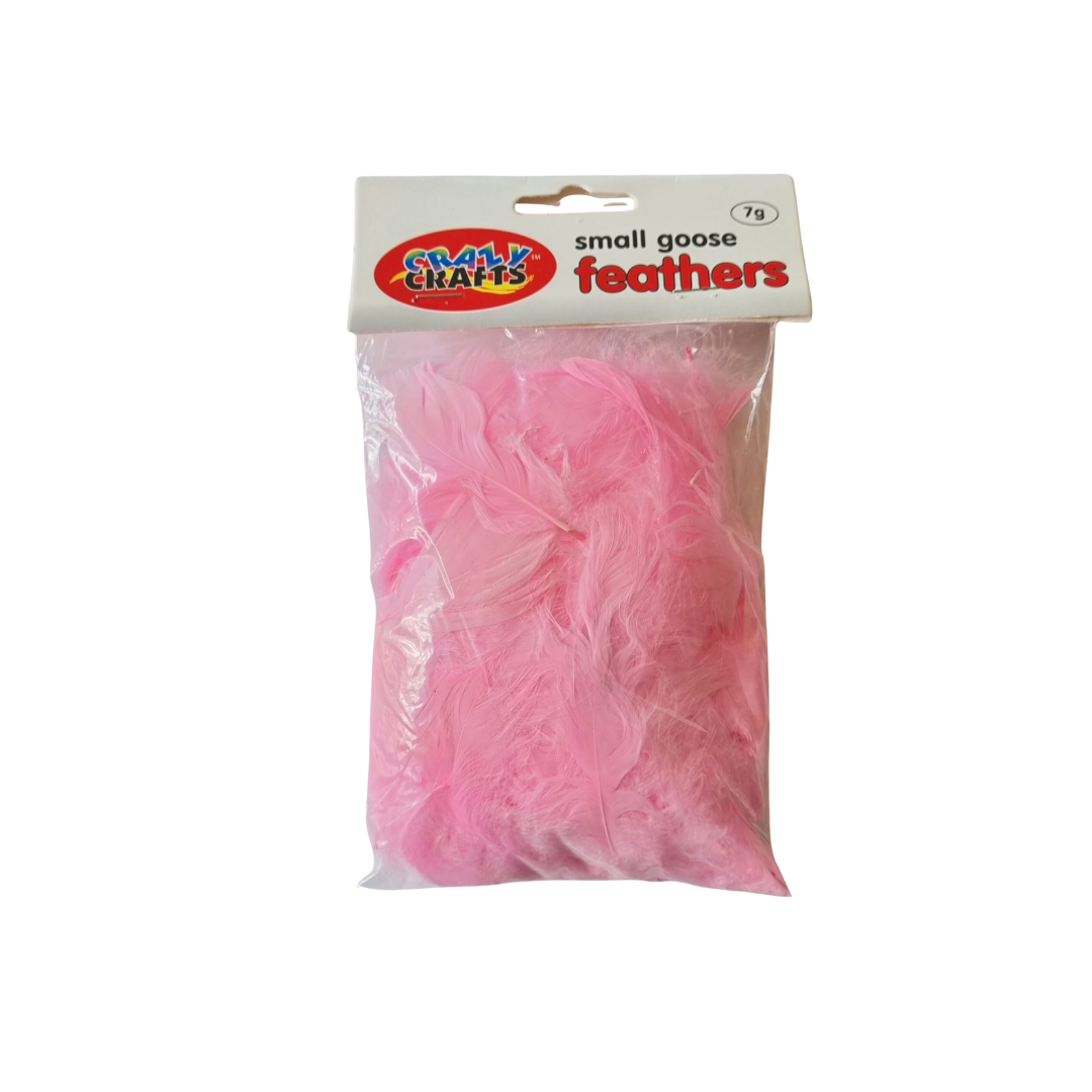 Crazy Crafts Pink Feathers 7g – Honey Bee Online